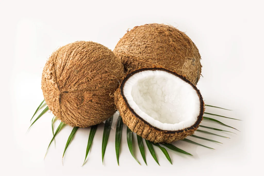 Noix de Coco : De la plantation à la récolte